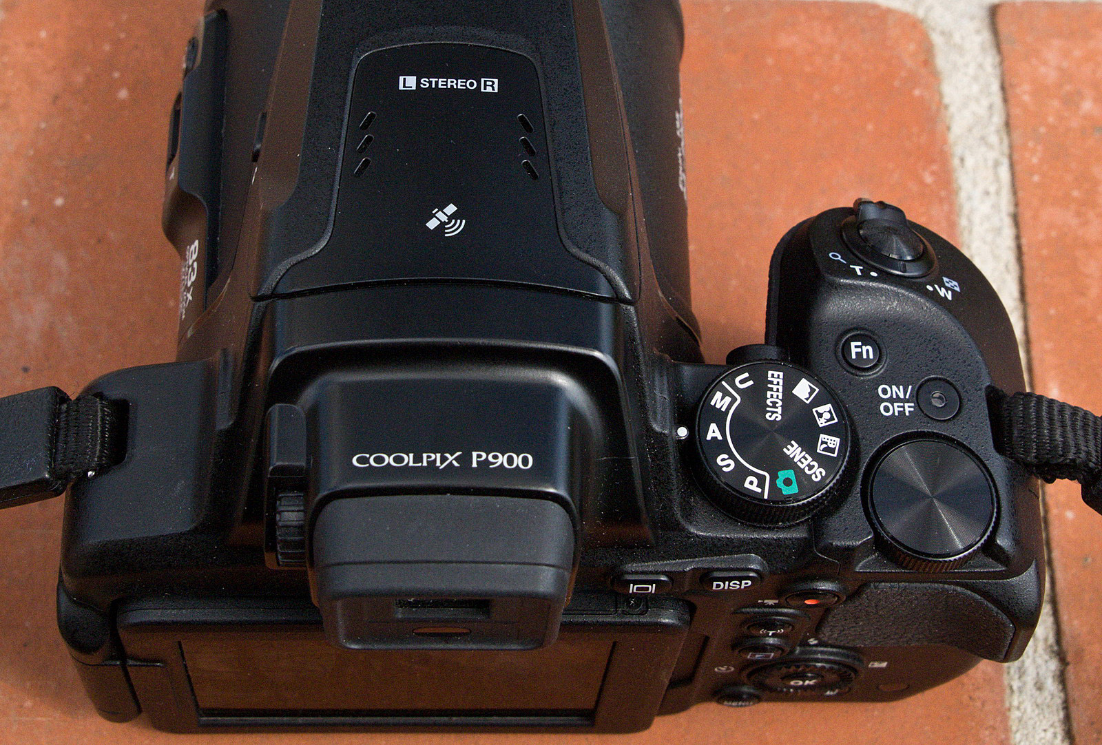 foto-nieobiektywny: TEST: Nikon Coolpix P900 – dwumetrowy zoom!