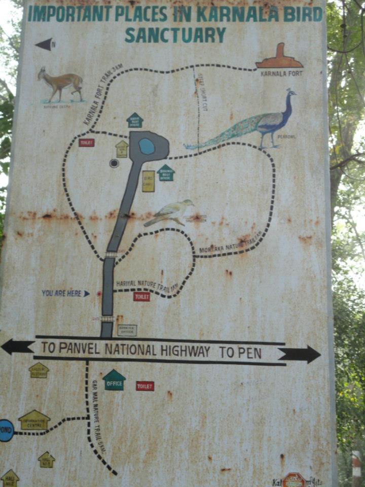 Trekking Places Near Mumbai........Tushar Rane: Trek to the Karnala ...