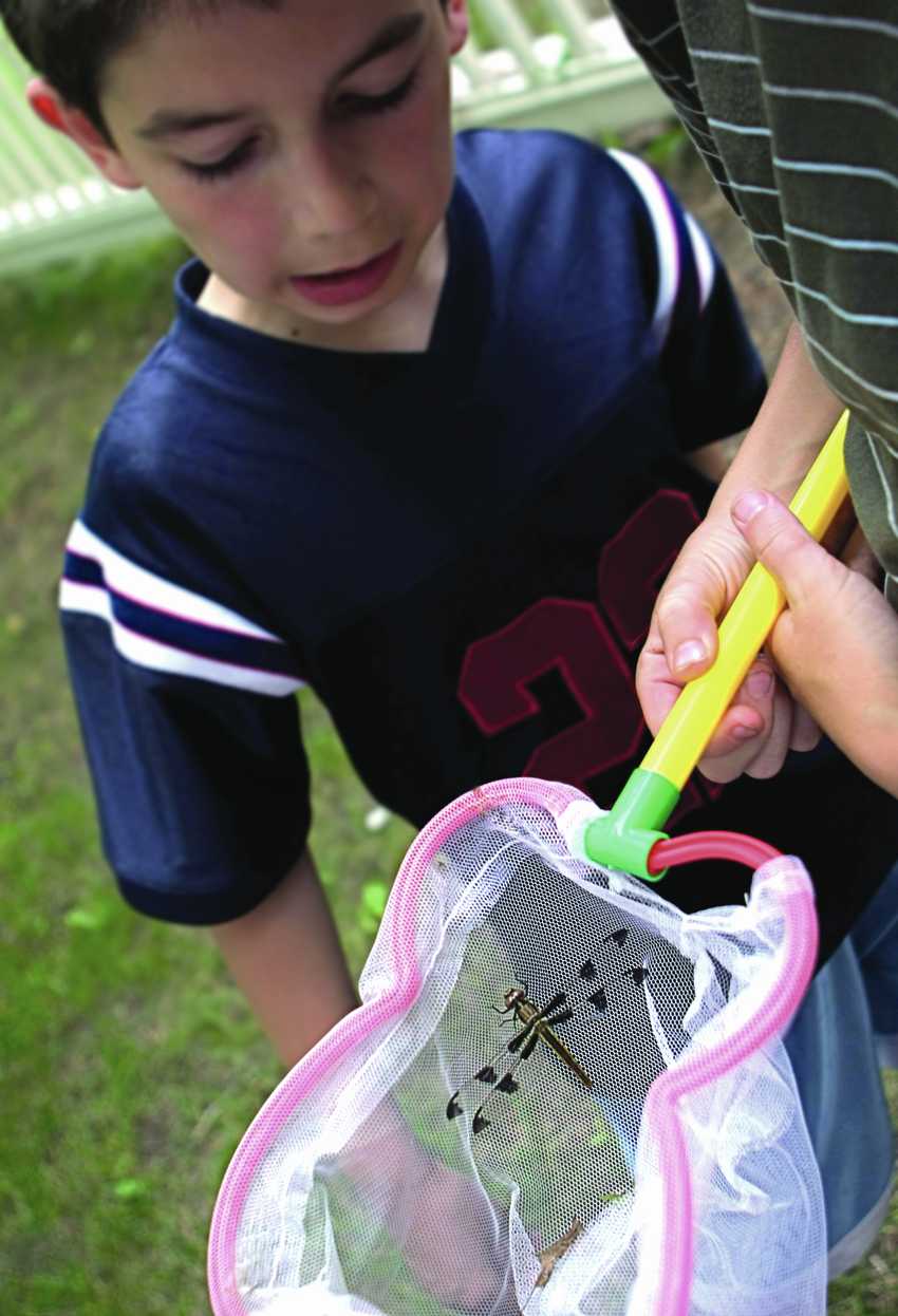 Life's A Beat: Michigan Days offered at Cedar Point