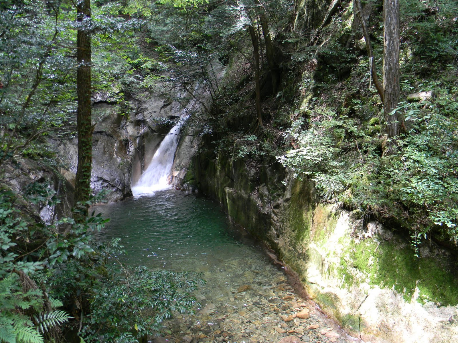 Konichiwa, Iwakuni!: Hiking Seven Falls