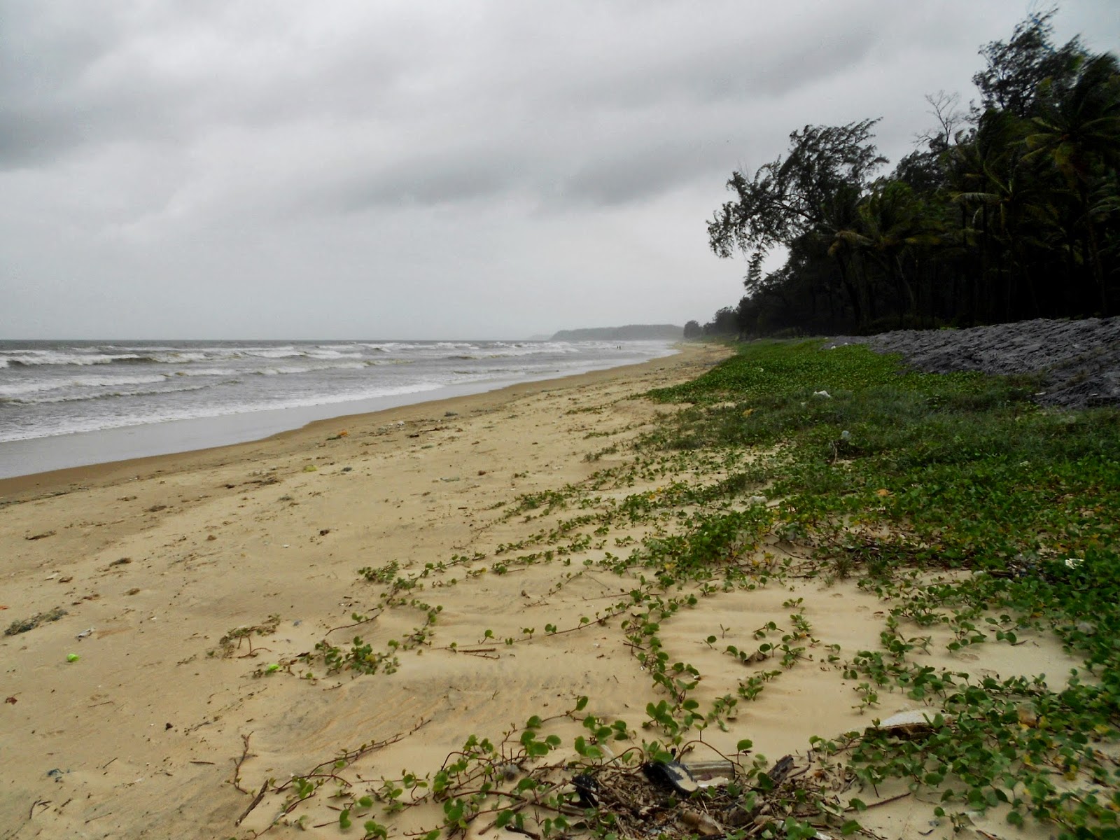 Travel and food tales: Redi Red and Shiroda White Sand Beach