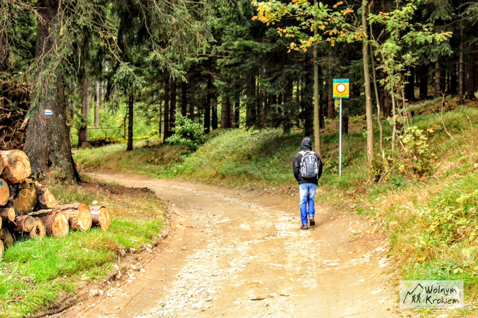 Velka Destna (Wielka Desztna)- Najwyższy Szczyt Gór Orlickich