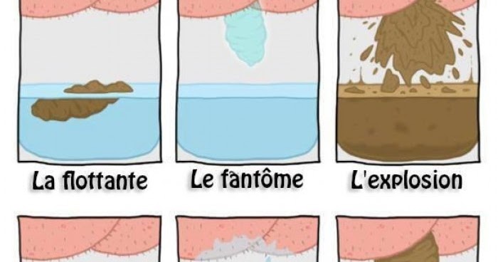 types de caca ~ perles-sms