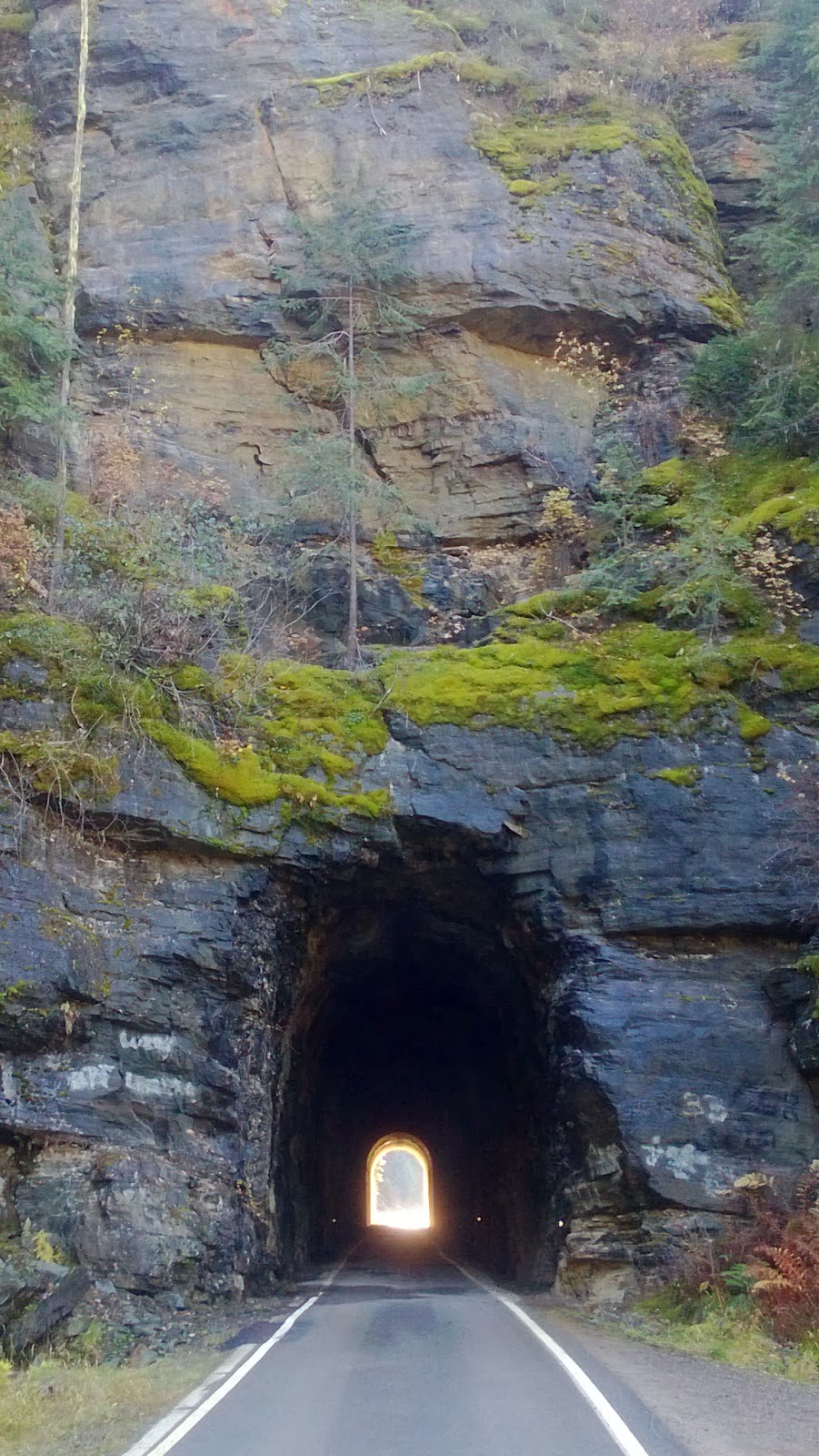 Letters from Shenanigan Valley Idaho: A Trip Over Moon Pass, Idaho