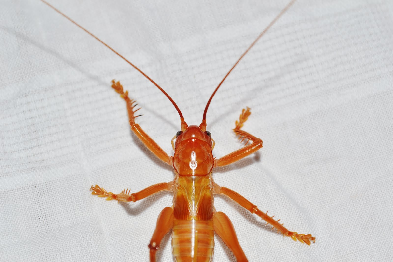 Photography & Me: One to Give You the Creeps