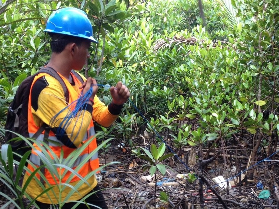Mangrove Map | Jasa Survei dan Pemetaan Mangrove: Tim Surveyor Mangrove ...