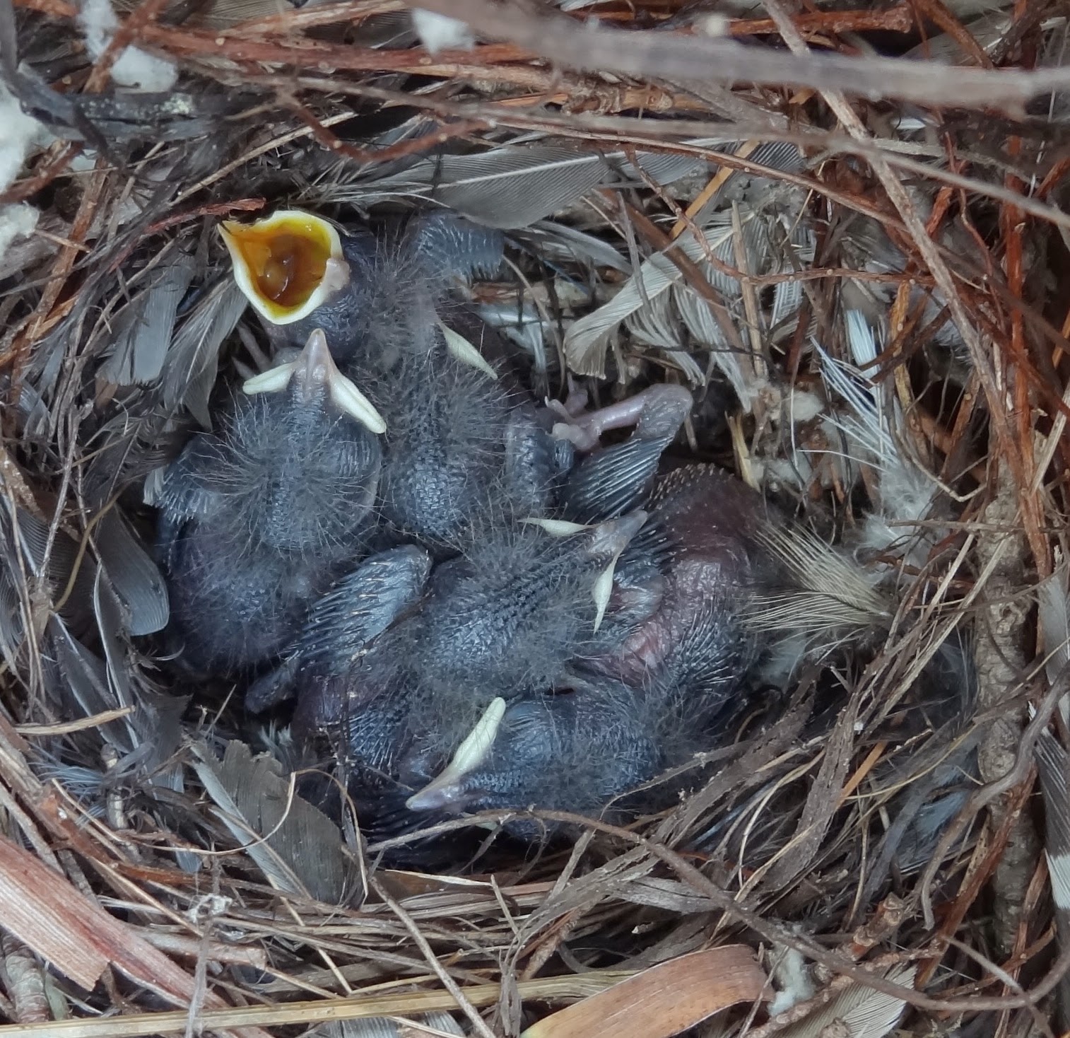 Live and Learn-Toss and Turn: 07/01/2014 - 08/01/2014