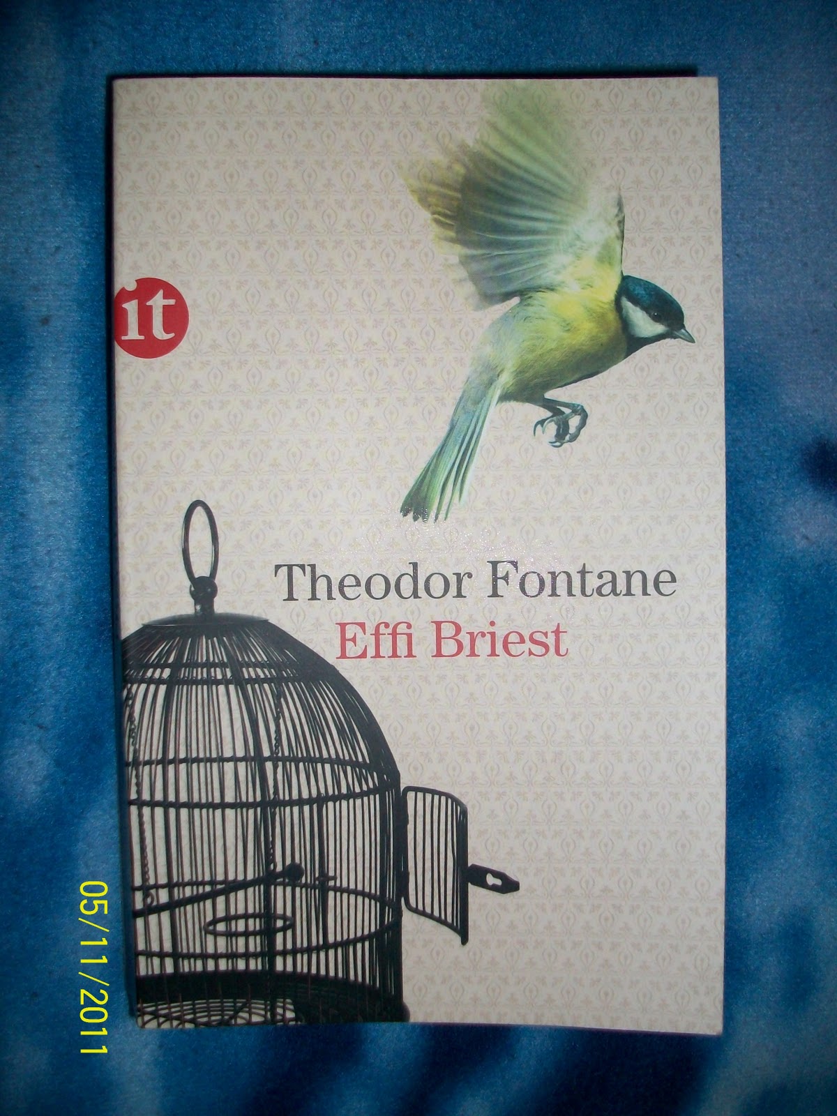 Libri, passione per la lettura: Recensione: "Effi Briest" di Theodor ...