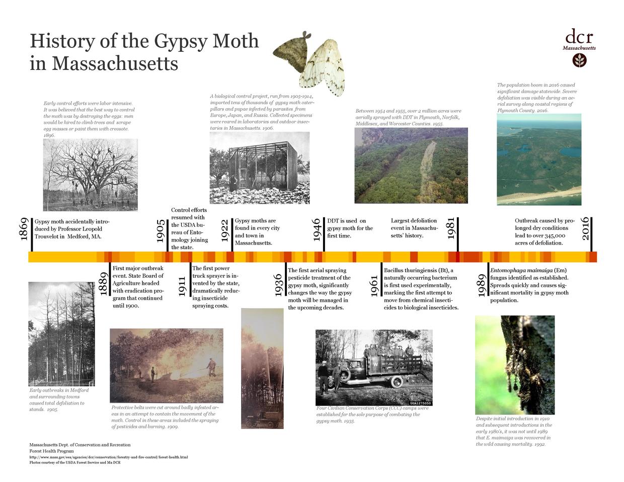 State Library of Massachusetts: The War against the Gypsy Moth in ...