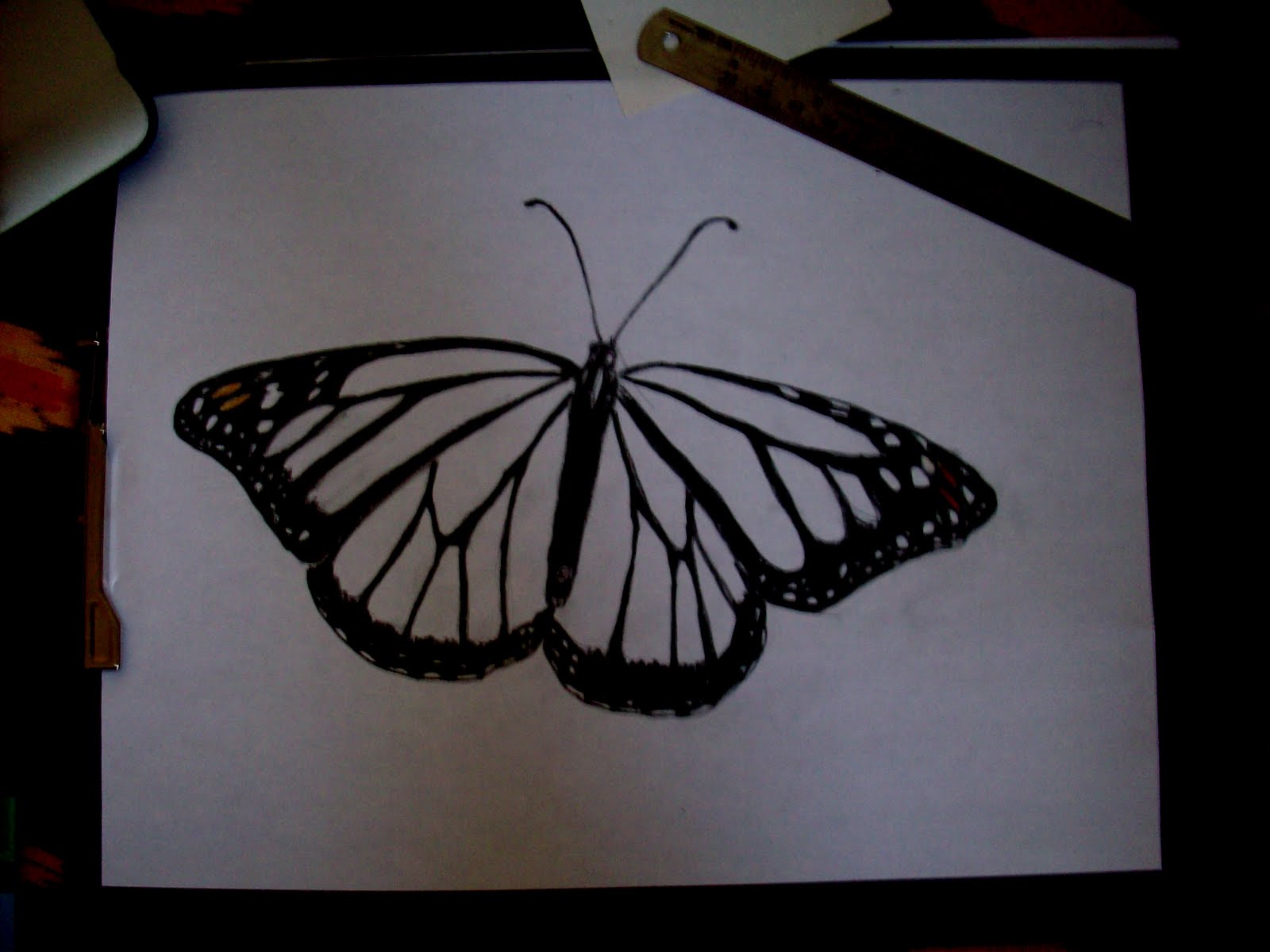 Distorted Symmetry: Order in Chaos: The Making of a Monarch Butterfly