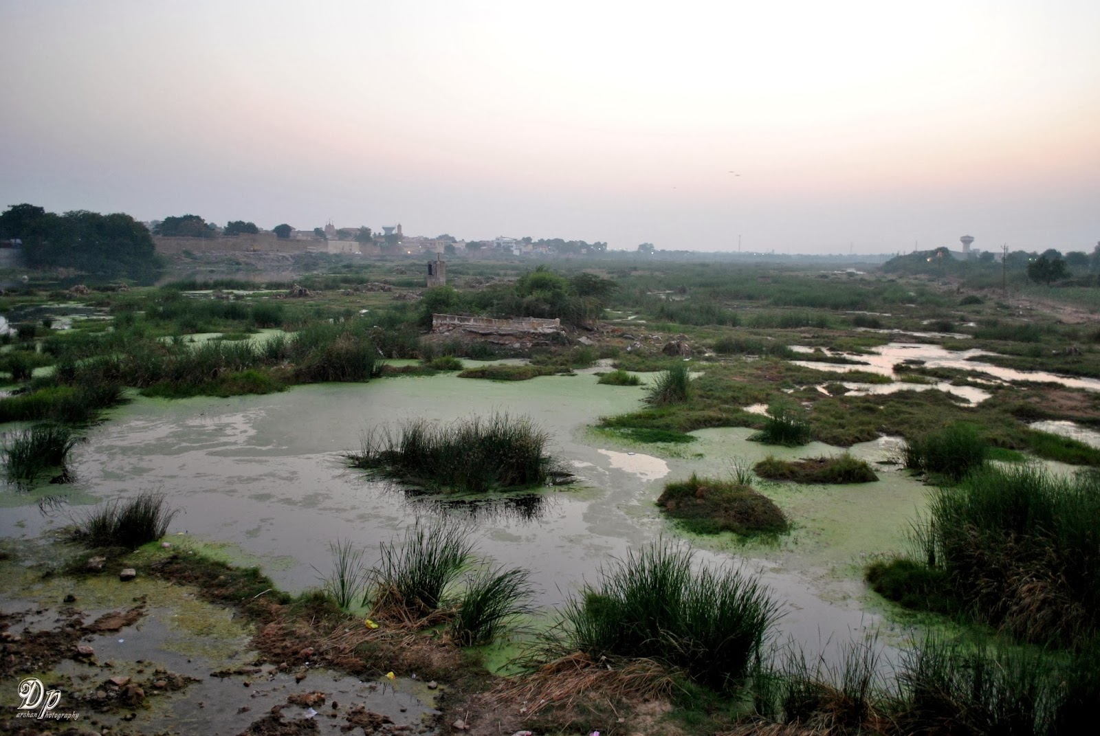 Darshan Photogallery: wadhwan