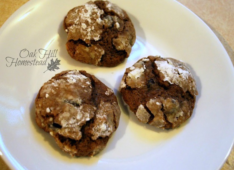 Chocolate Crinkle Cookies and the Christmas Cookie Notebook - Oak Hill ...