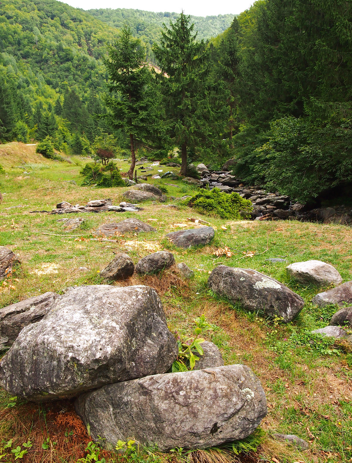 Luca Photography: Valea Moasei -Sebesu de Sus