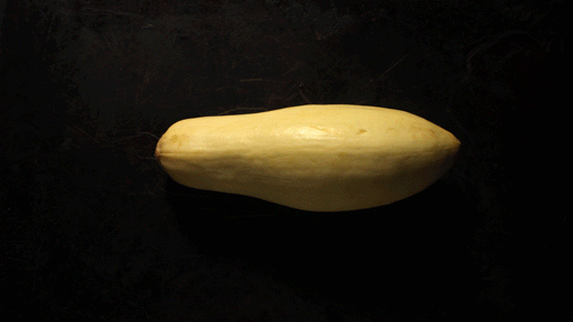 The 99 Cent Chef: Sauteed Crookneck Squash - Video Recipe