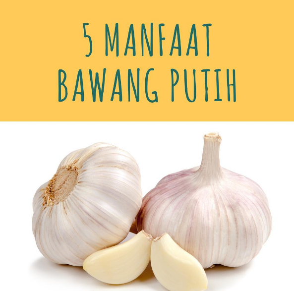 5 manfaat bawang putih bagi kesehatan | Informasi Kesehatan