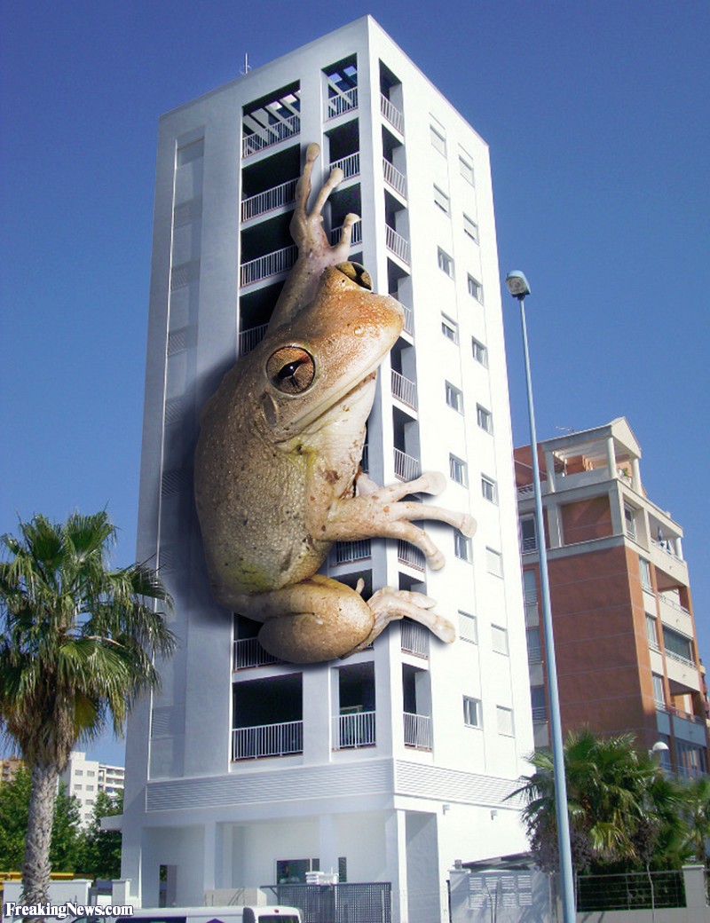 Naughty Funz: Funny Buildings