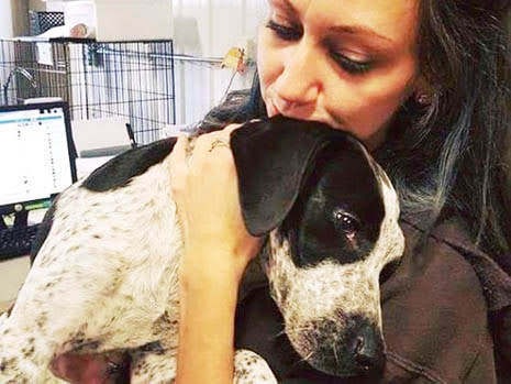 Four legged friends (and enemies): Minnesota: Brandon Hesse Hamilton ...