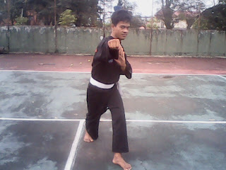 silat: serangan