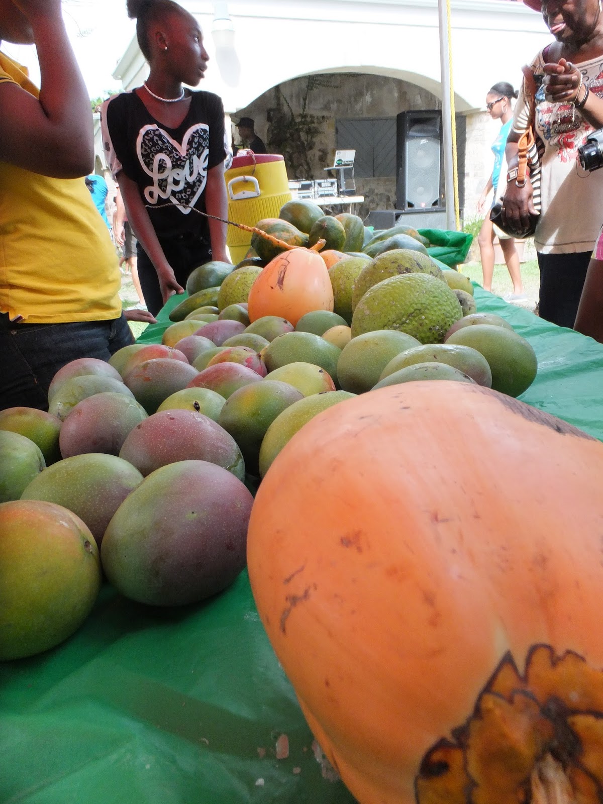 Humanity Squared: St. Croix's Mango Melee