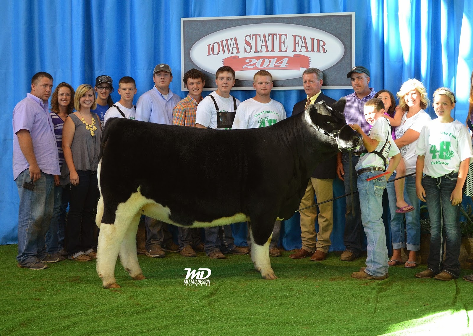 MITTAG Blog: Iowa State Fair | Top 5 Breeding Heifers