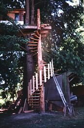 Treehouse Spiral Staircase by SunRay Kelley - Lloyd's Blog