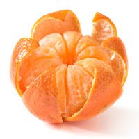 Satsuma - Fruits And Vegetables