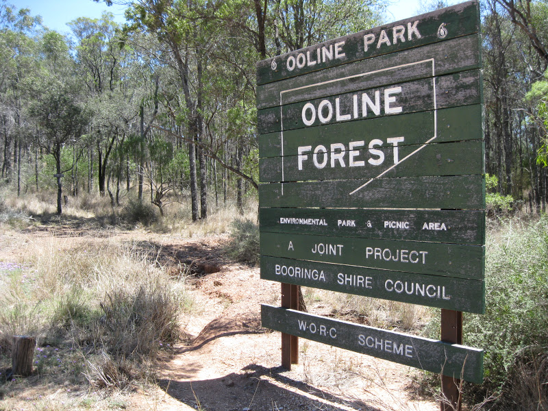 Robin's Double Life: Ooline Park; Markets; Red Gum Concert; A box of ...