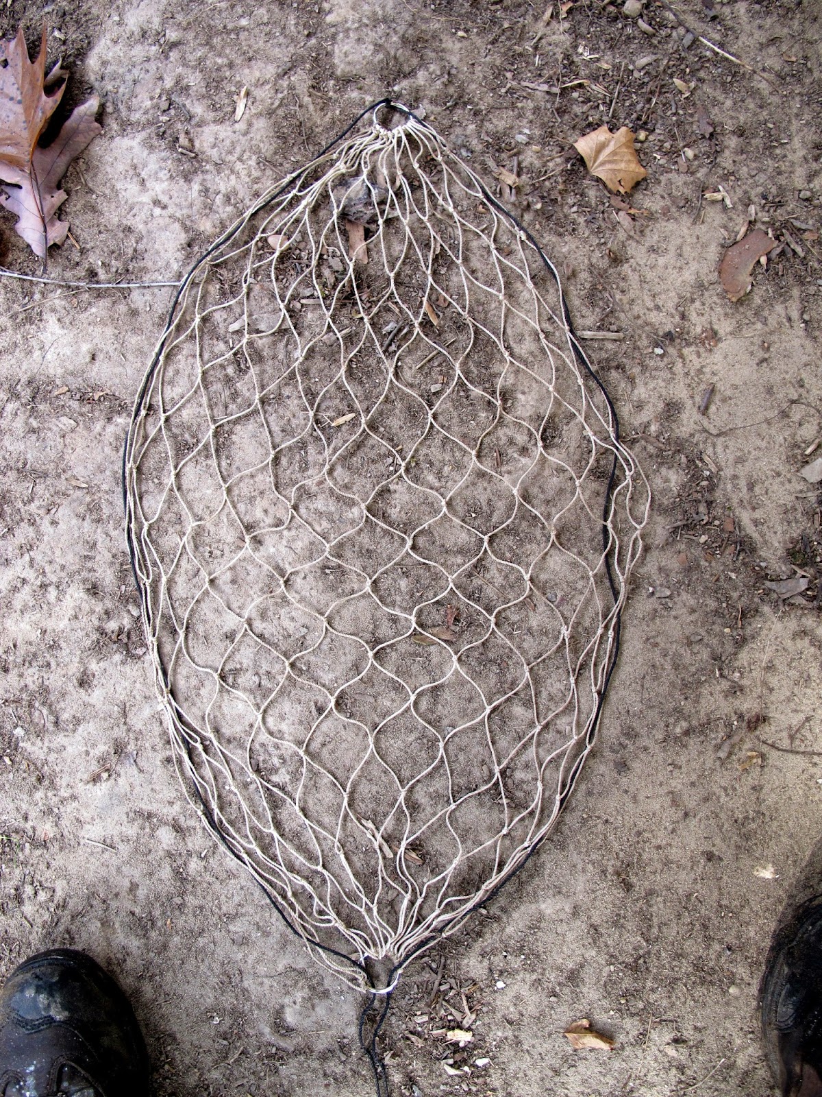 Woodland Wisdom: Survival Trapping