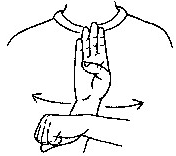 American Deaf Culture: American Sign Language: