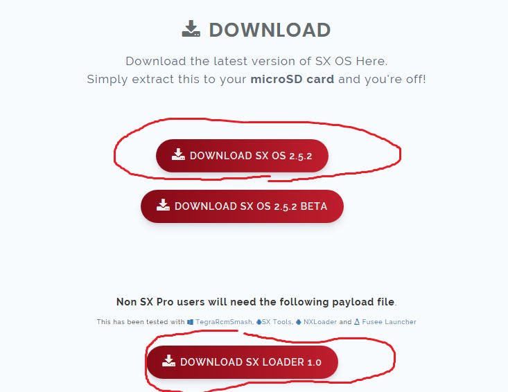 ニンテンドースイッチ SXOS導入方法＆解説