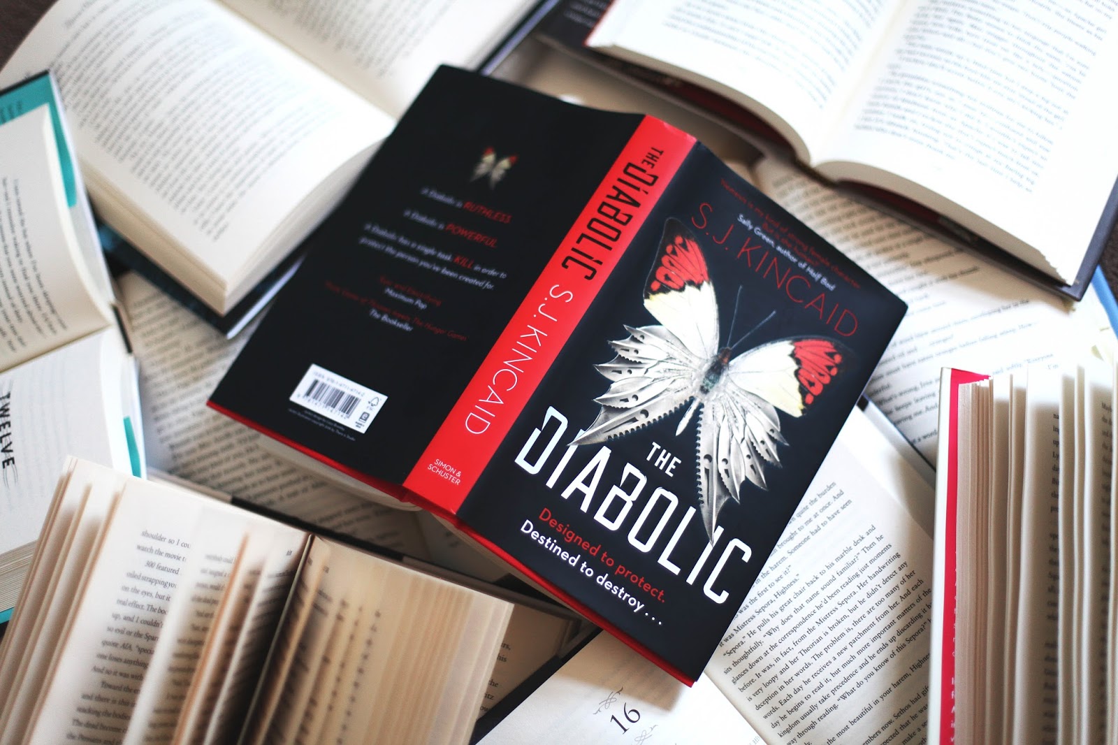 Two Book Thieves: The Diabolic by S. J. Kincaid