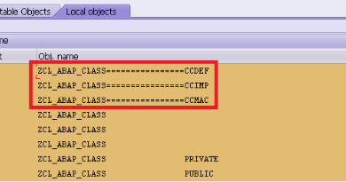 SAP ABAP Central: General properties of ABAP Classes / Interfaces