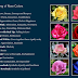 Rose Colors and their Meanings.