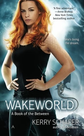 Urban Fantasy Investigations: Review: Wakeworld by Kerry Schafer