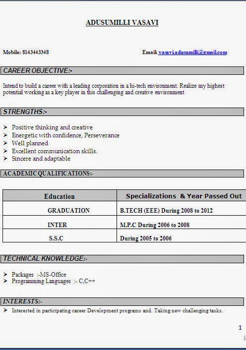 beautiful resume templatesc sss