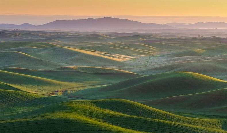 Pemandangan Yang Indah Dari Perbukitan Palouse | mencoba
