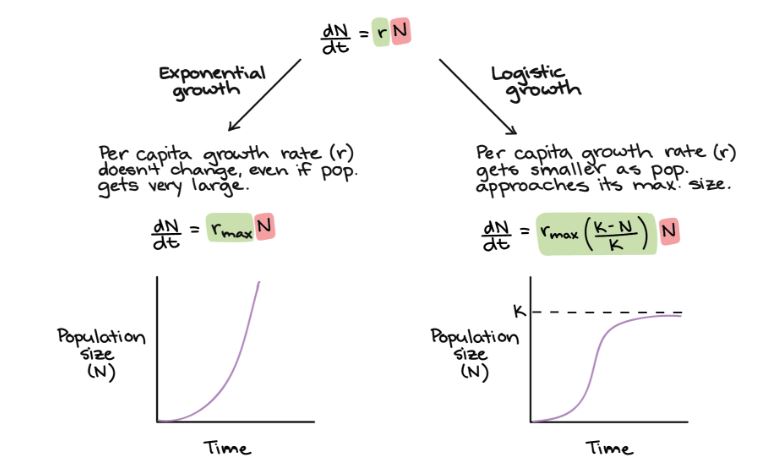 Exponential & logistic growth