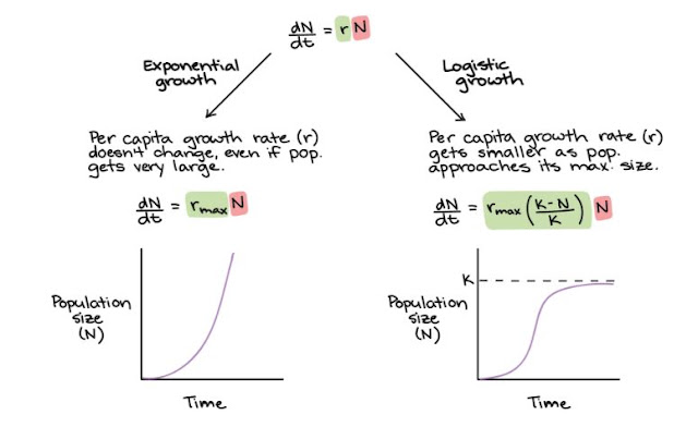 Exponential & logistic growth