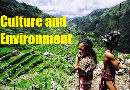 Thoughts to Promote Positive Action...: Culture and Environment