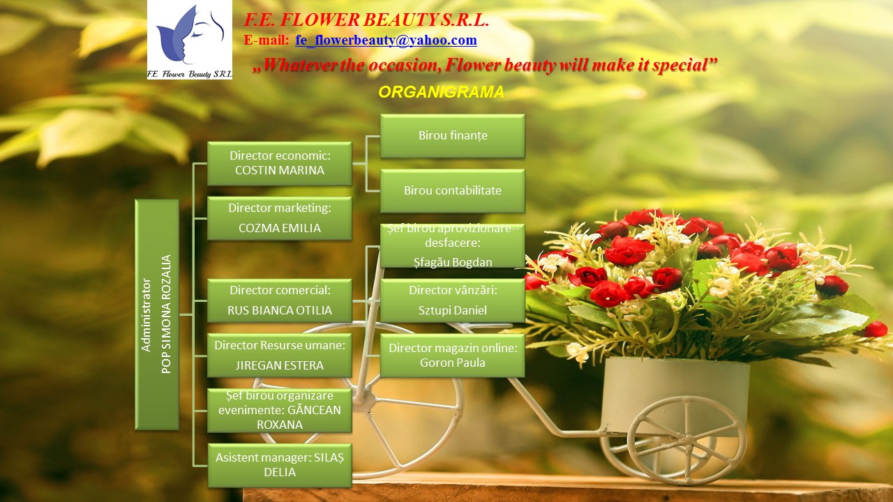 F.E. FLOWER BEAUTY S.R.L.: Organigrama / Organisation chart