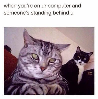 8 Funny Technological Memes you must see! - Cool Jokes For U