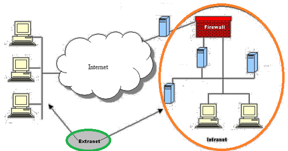 Intranet, Extranet and WWW