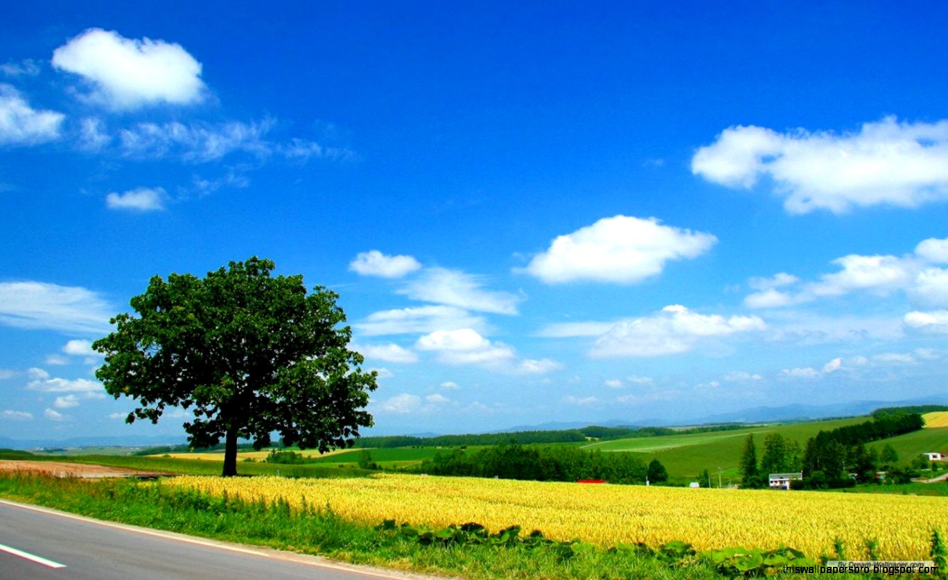 Free Travel Wallpaper Japan Hokkaido Wallpaper | This Wallpapers