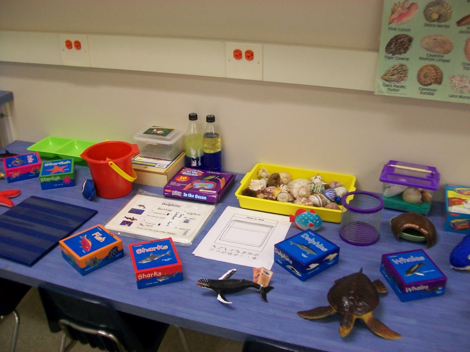 Cozy Kindergarten: Ocean Exploration Room