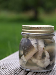 Bitter Sweet Salty Sour: Marineeritud angerjad