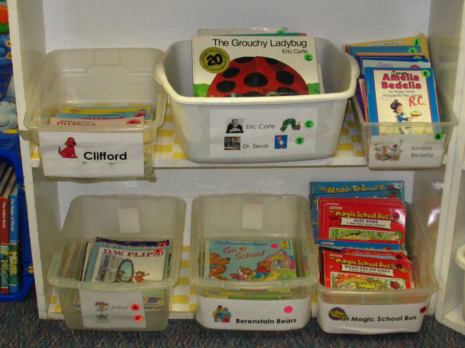 First Grade Magic: Classroom Library