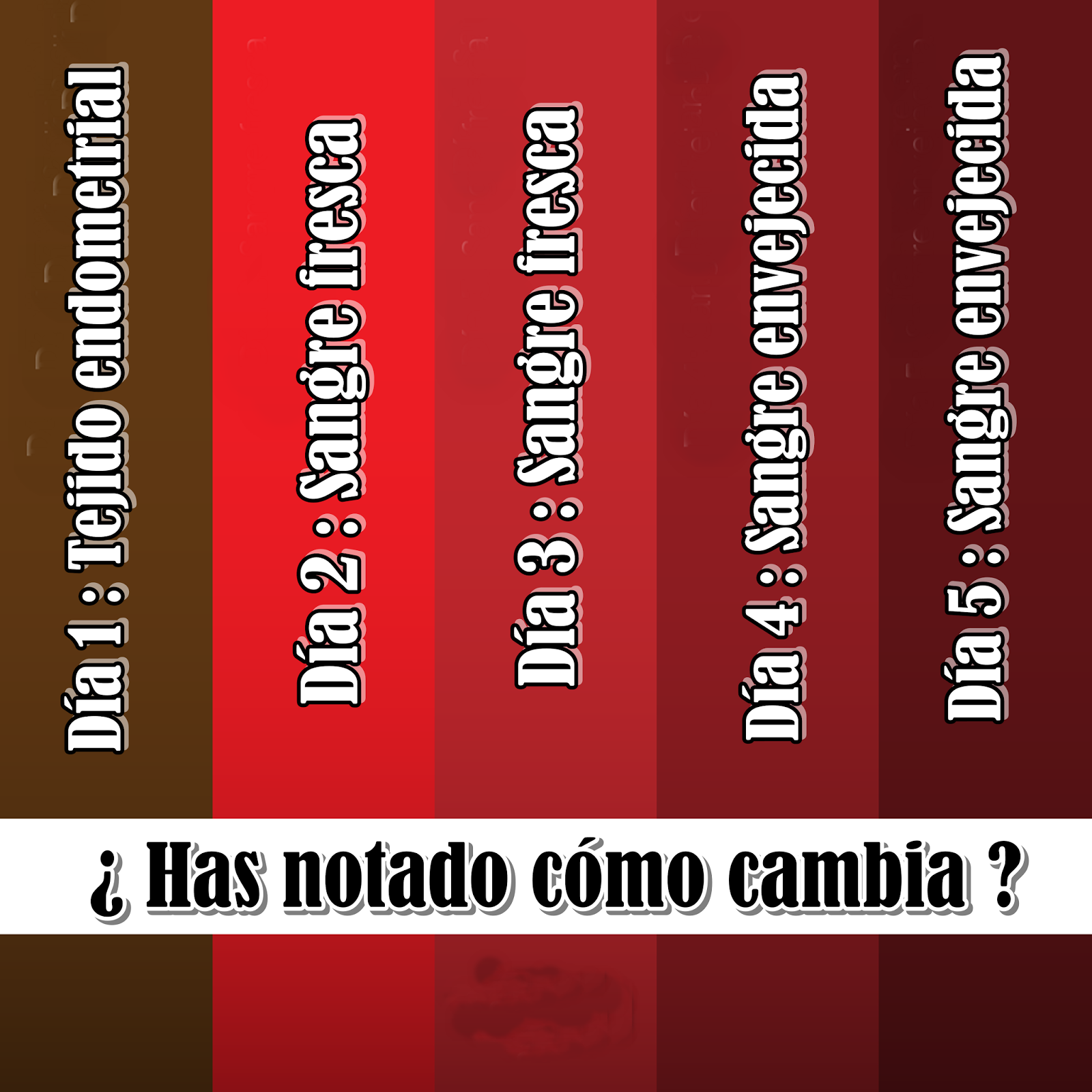 ♥ ♥DILO CON IMÁGENES♥ ♥: Ciclo Menstrual. ¿Has notado cómo cambia el ...