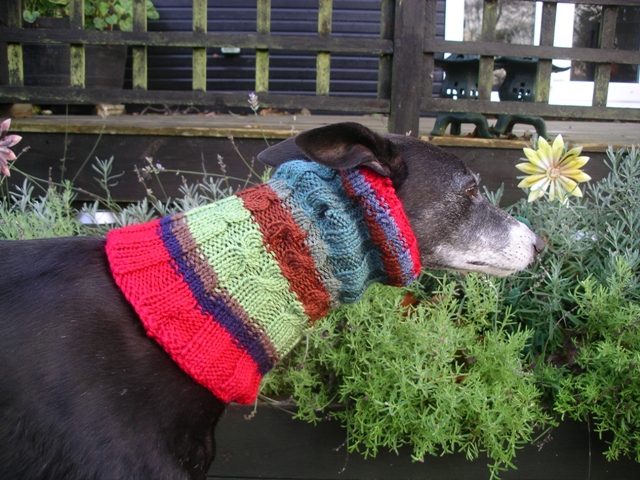 Crafting4Greyhounds: Snoods
