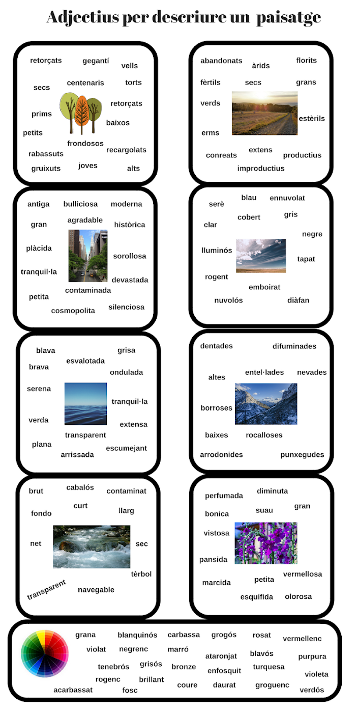 Classe de català: Adjectius per descriure (2)