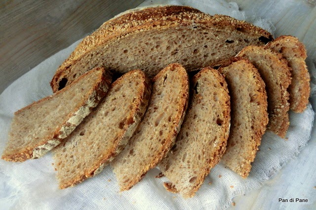 Pan di Pane: Ricetta Pane Integrale con semi o aromi a lievitazione ...